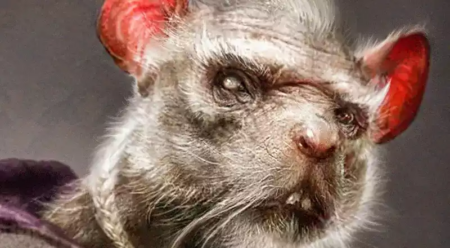 Teenage Mutant Ninja Turtles Names: The Origins And Meanings